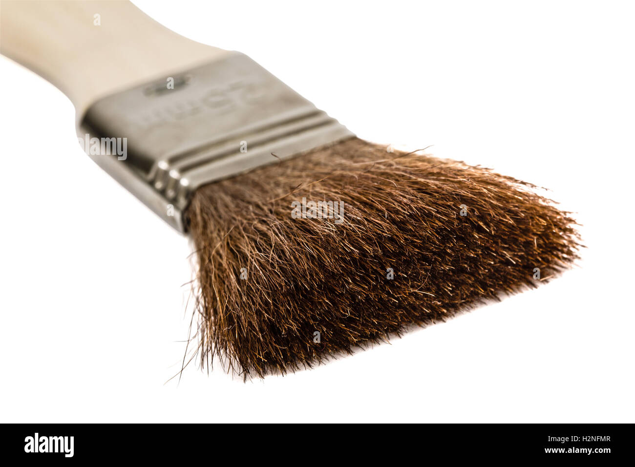 New prush close-up isolated on white background Stock Photo - Alamy