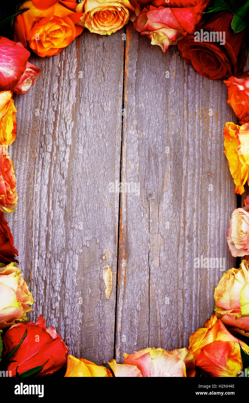 Frame of Roses Stock Photo - Alamy