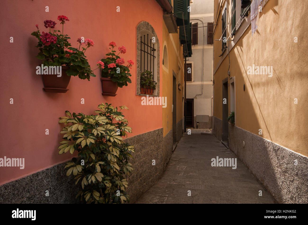 A traditional Mediterranean doorway, adorned with flowers and brightly ...