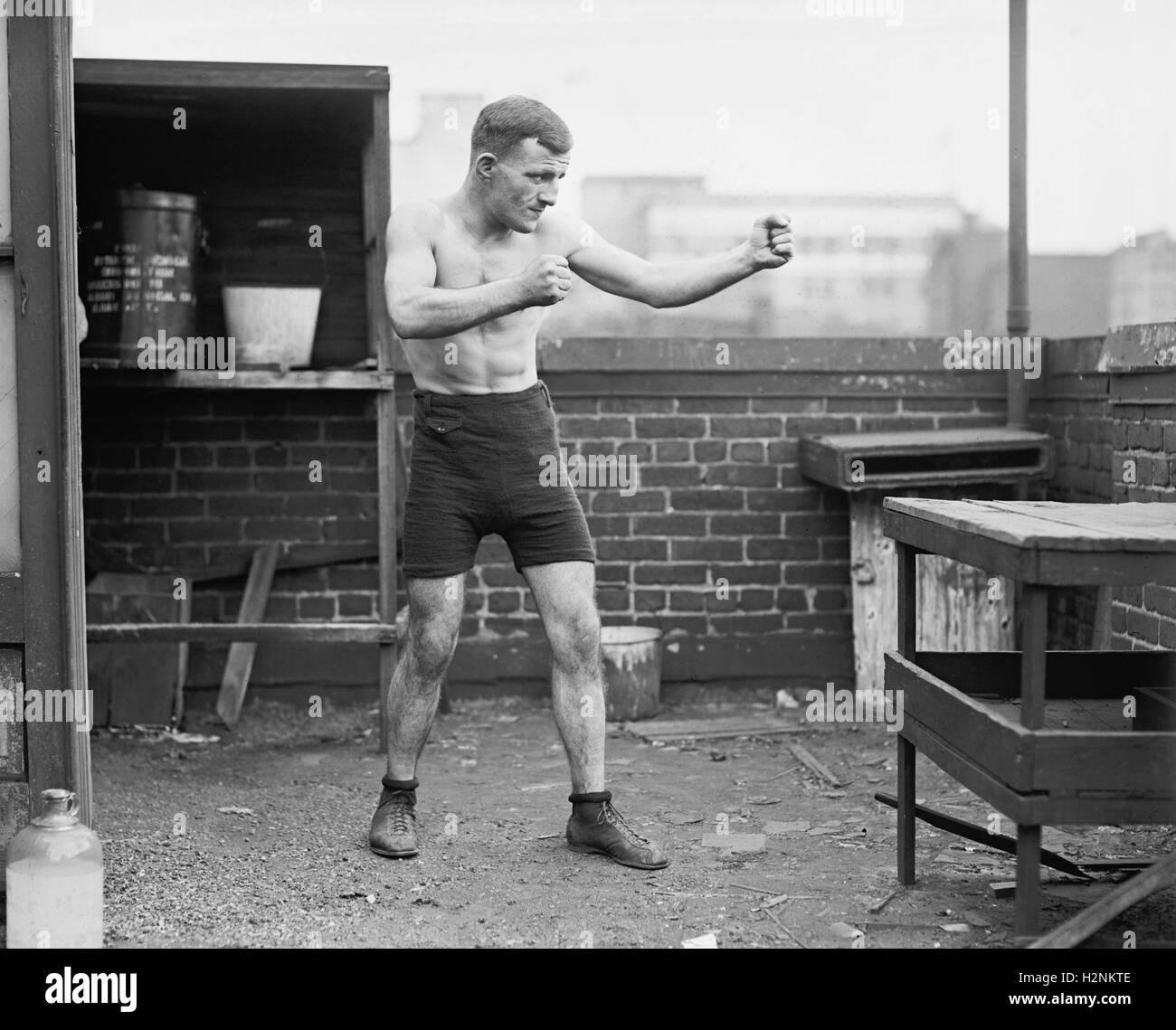 Military Boxer at Barracks, Portrait, Washington DC, USA, National ...