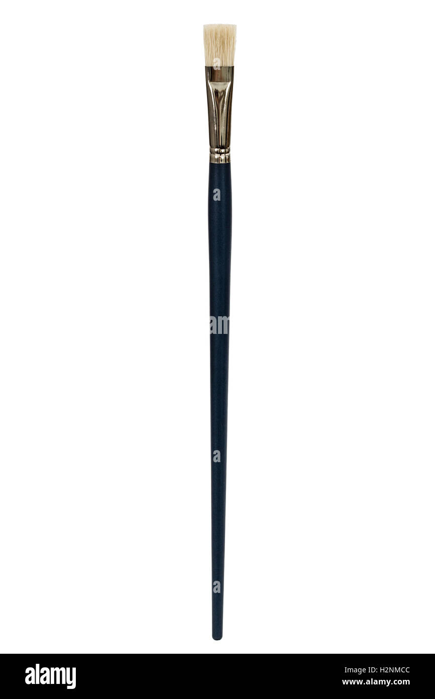 Bristle hair hi-res stock photography and images - Alamy