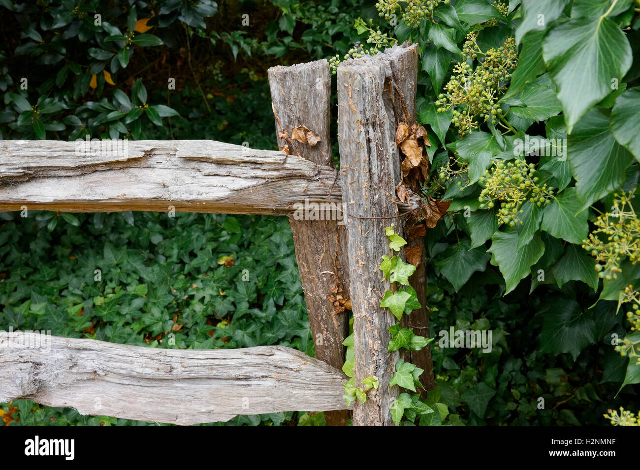 Old fencing in the australian outback hi-res stock photography and ...
