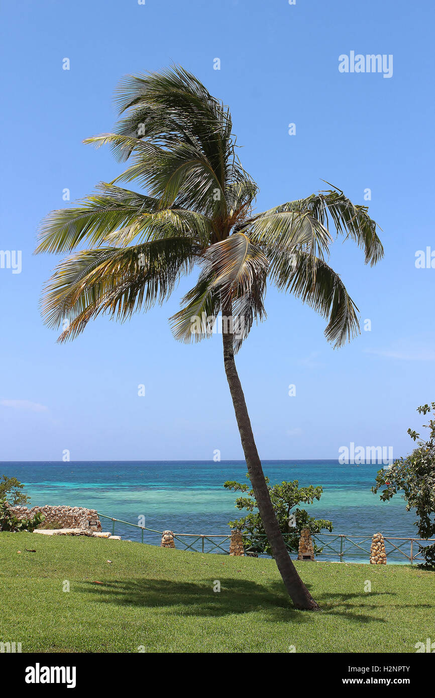 Cuba paradise hi-res stock photography and images - Alamy