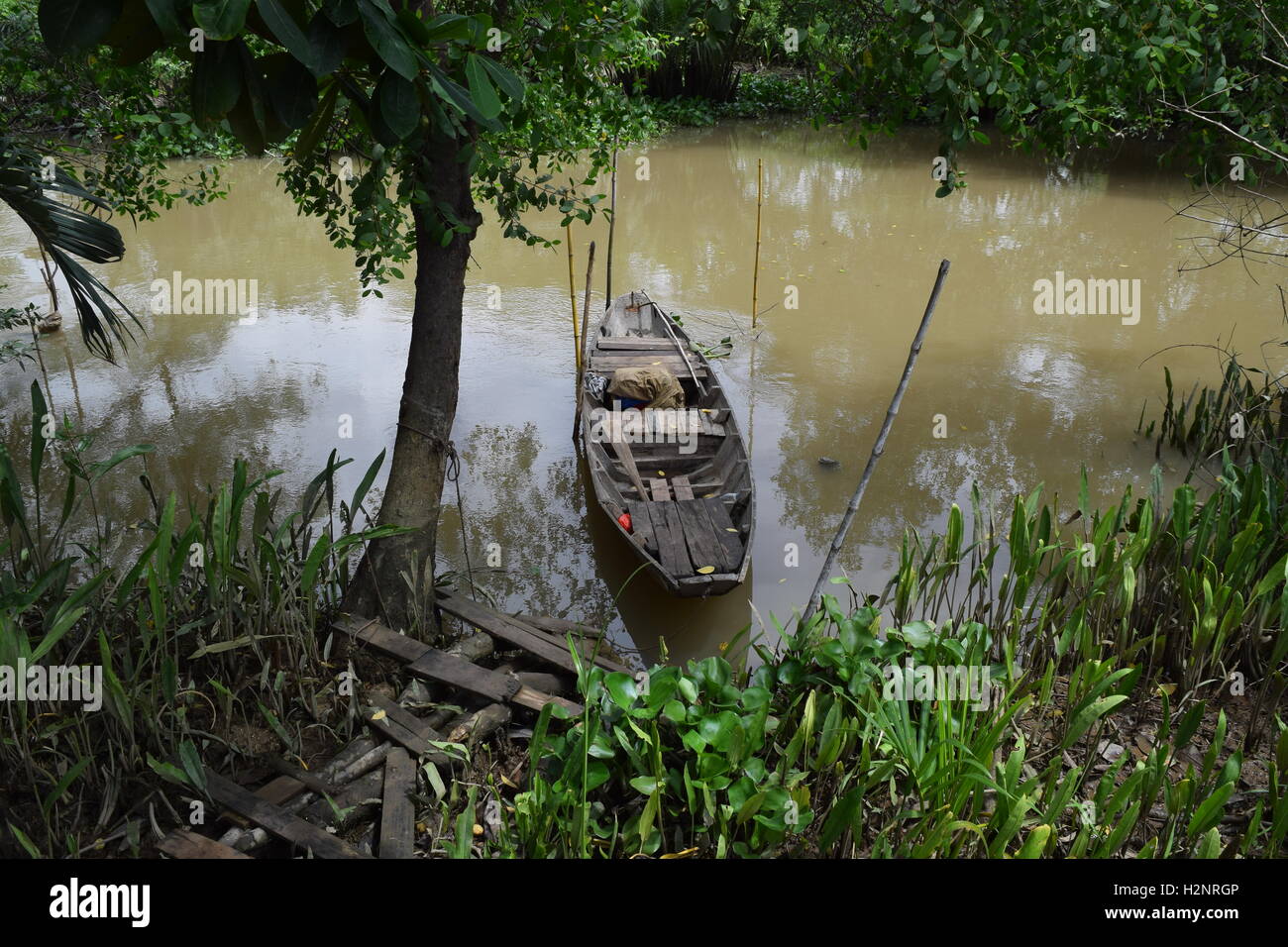 traditional asian fishing boat in river, vietnam Stock Photo - Alamy