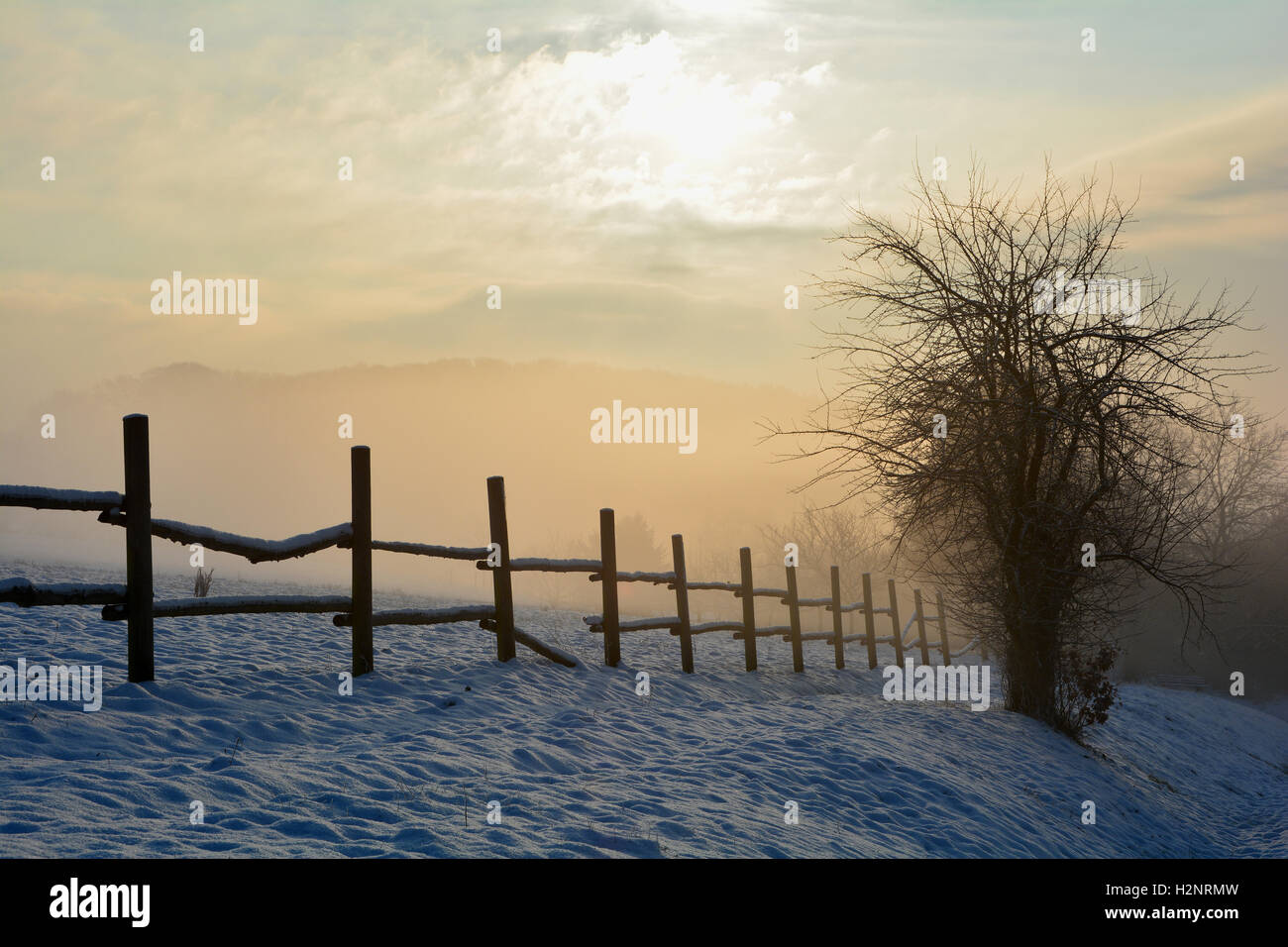 Sunrise in winter with tree and fence Stock Photo - Alamy