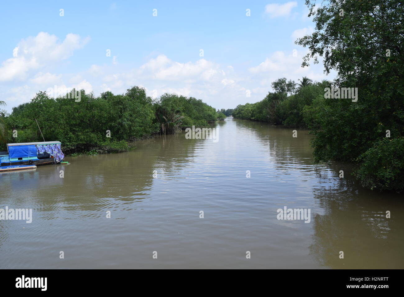 tropical river in mekong delta in vietnam Stock Photo - Alamy