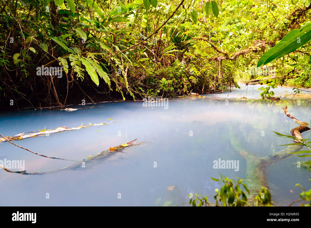Particle river hi-res stock photography and images - Alamy