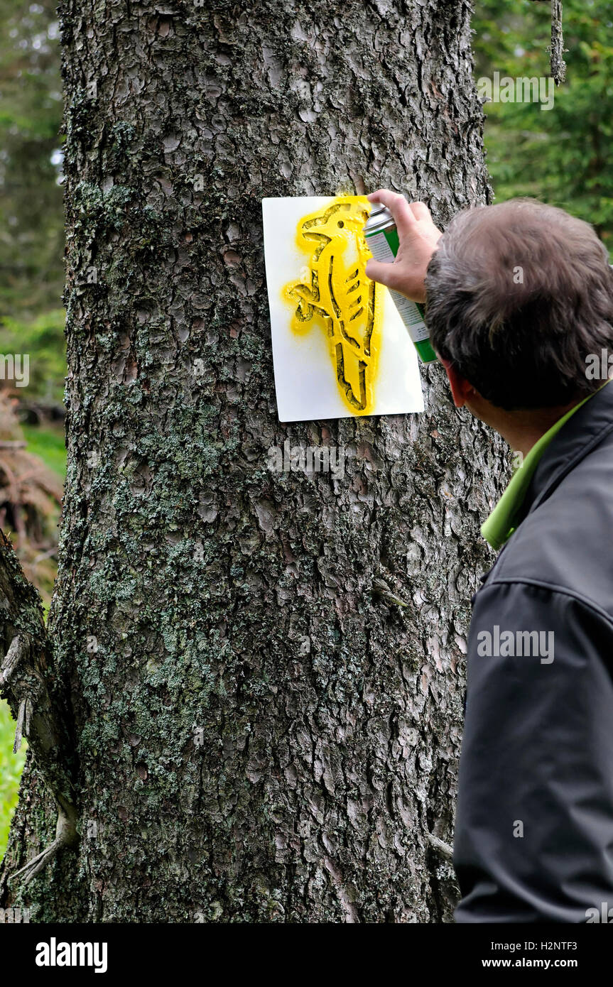 Forester is marking habitat tree Stock Photo - Alamy