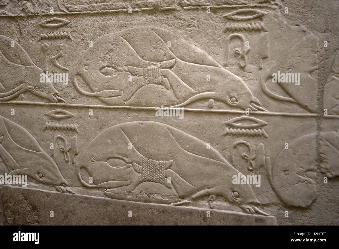 Egypt. Necropolis of Saqqara. Mastaba of Kagemni (2350 BC). Chief ...