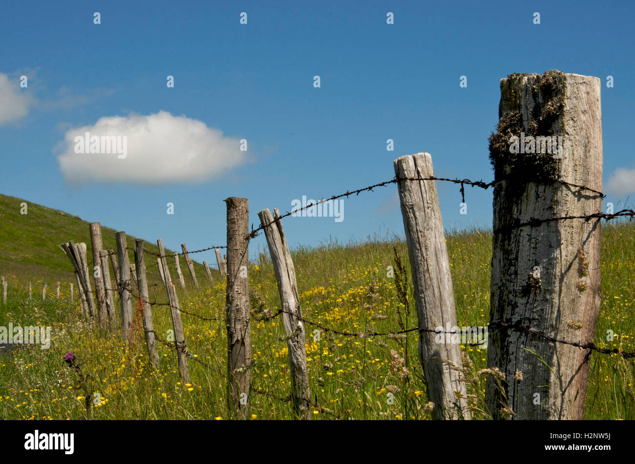 Fence in countryside, Region Auvergne, France, Europe Stock Photo - Alamy