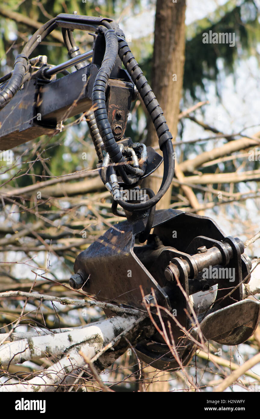 Timber grapple hi-res stock photography and images - Alamy