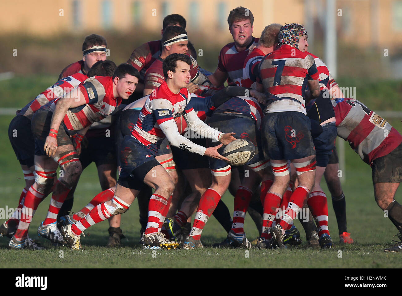 Barking RFC vs Dorking RFC - Rugby at Gale Street, Dagenham - 08/02/14 ...