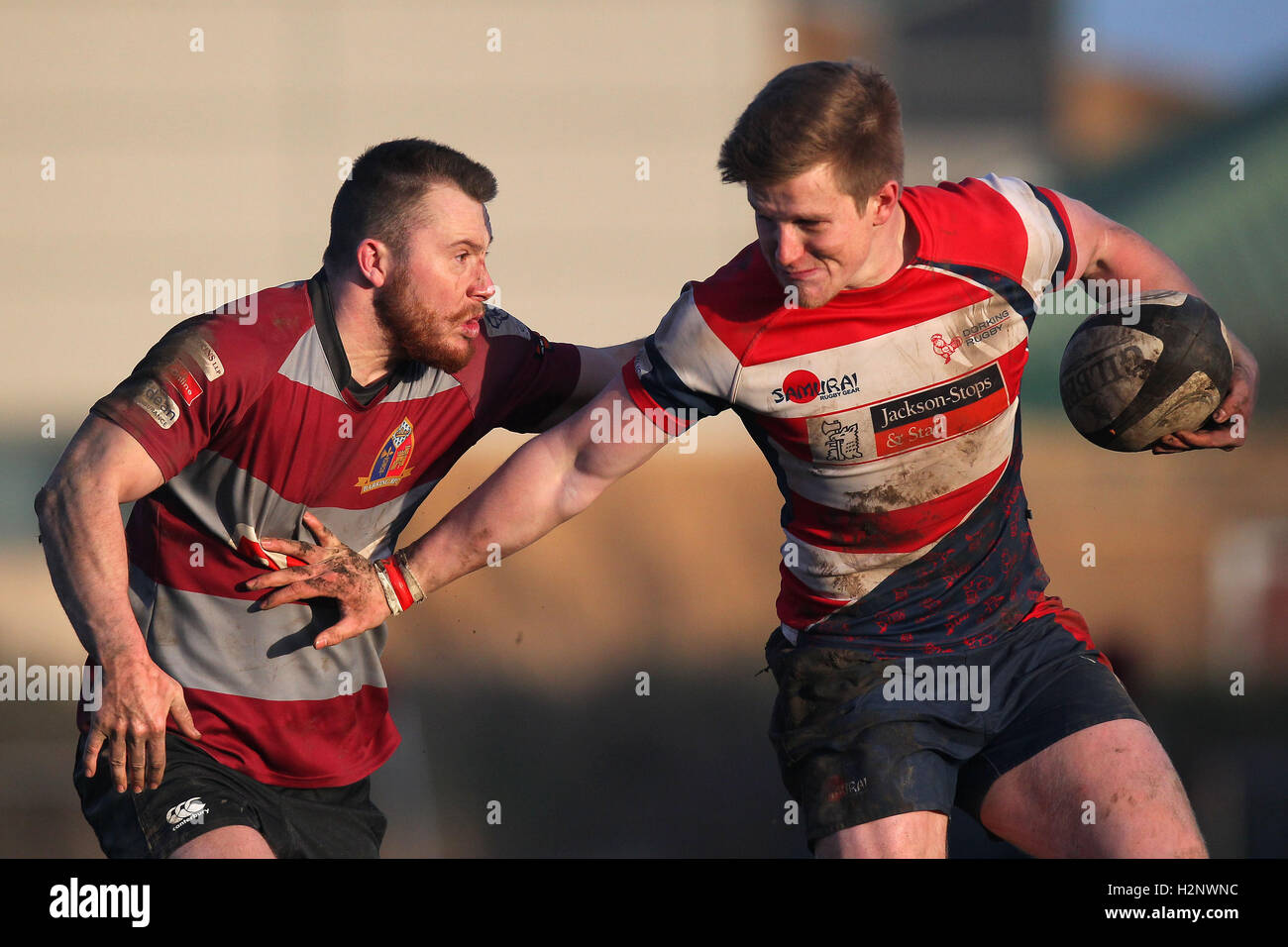 Barking RFC vs Dorking RFC - Rugby at Gale Street, Dagenham - 08/02/14 ...