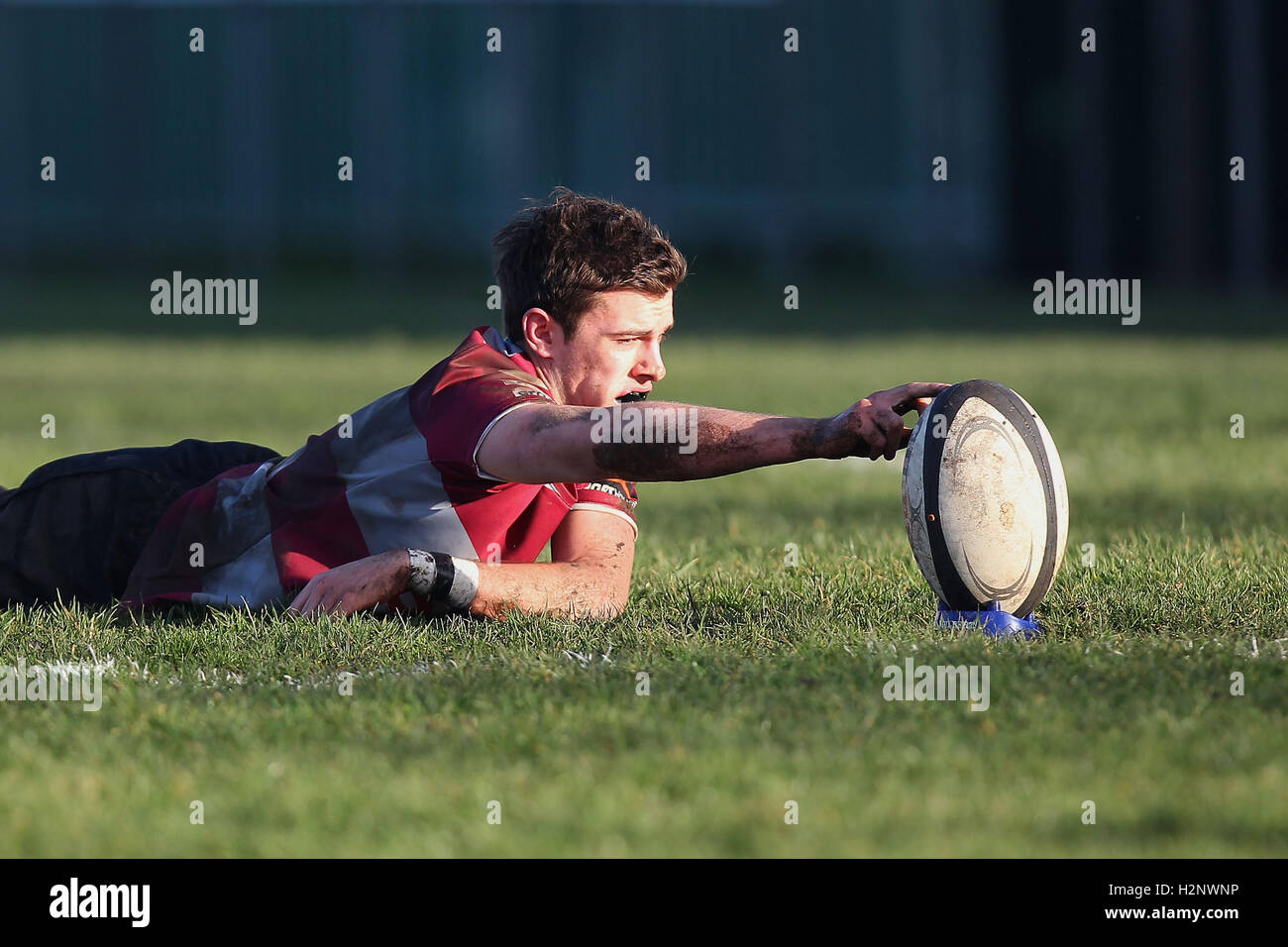 Barking RFC vs Dorking RFC - Rugby at Gale Street, Dagenham - 08/02/14 ...