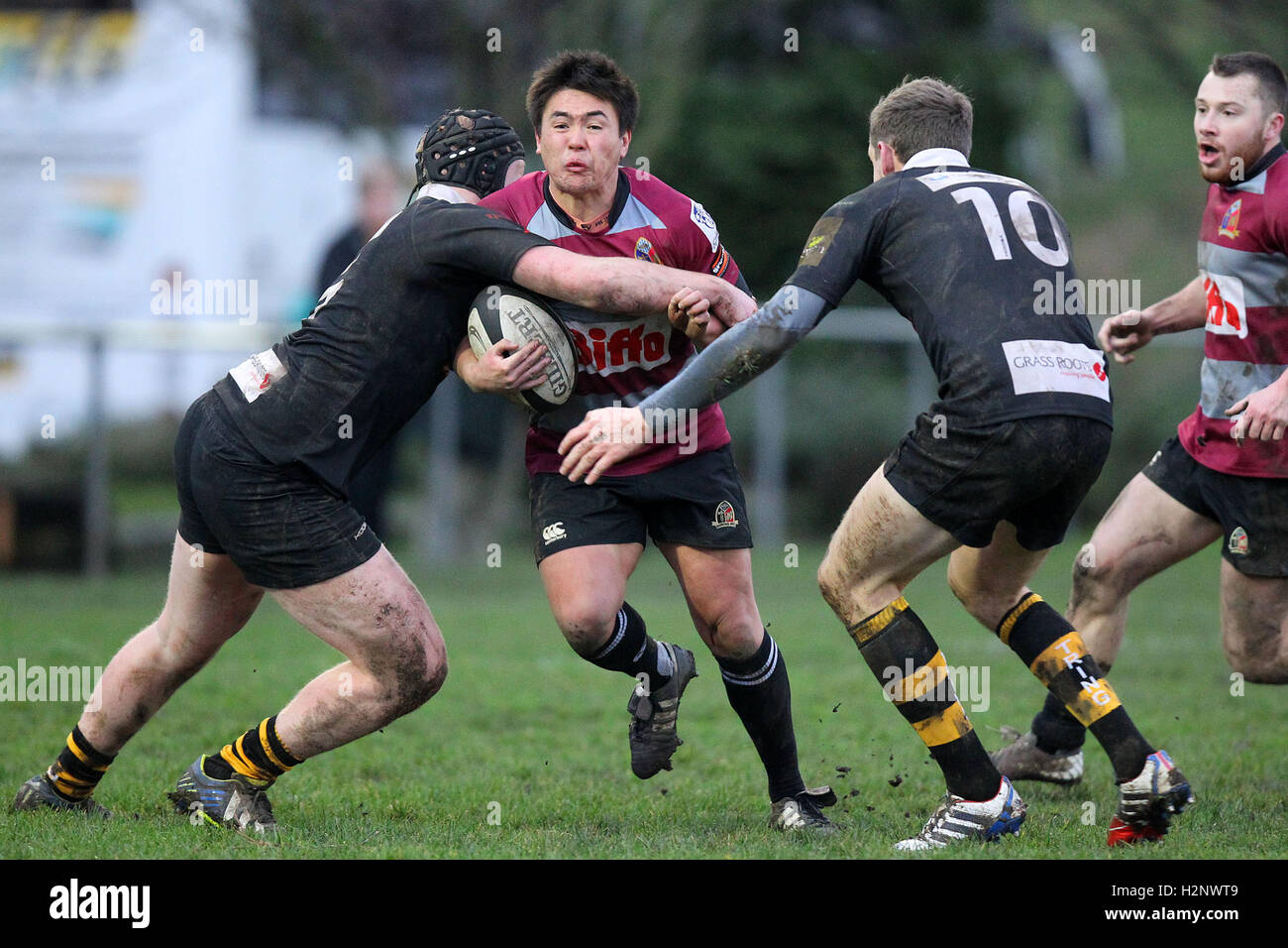 Rugby division hi-res stock photography and images - Alamy