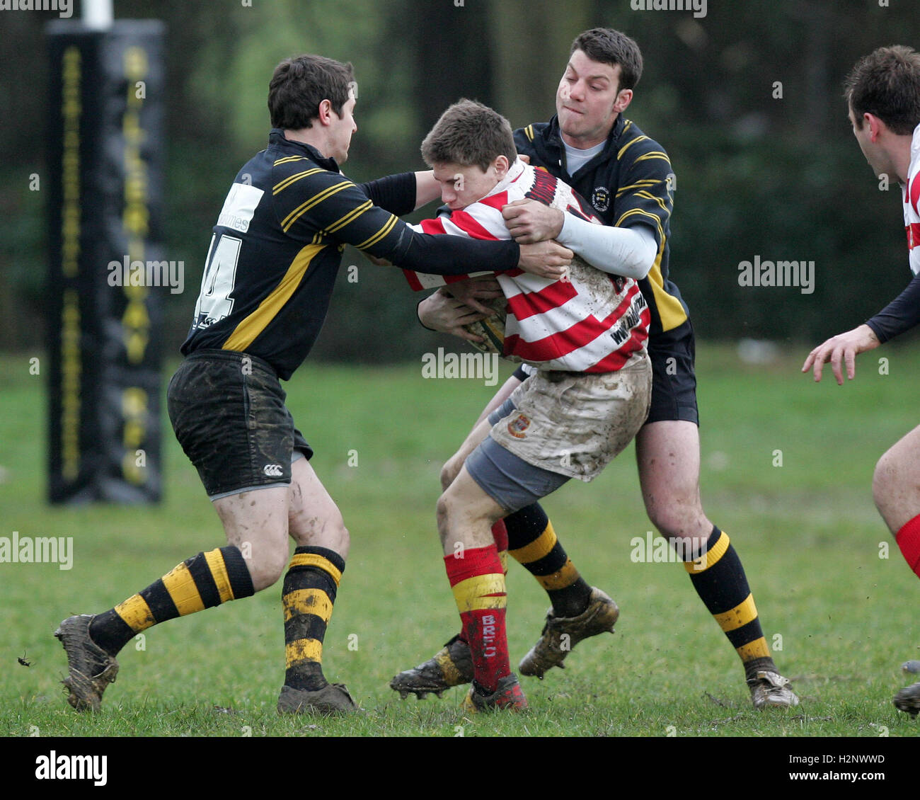 Billericay RFC vs Bideford RFC - EDF Energy Vase 6th Round - 10/02/07 ...