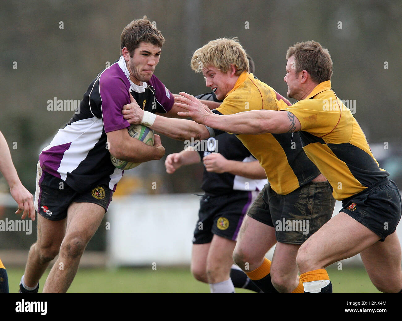 Braintree rfc hi-res stock photography and images - Alamy