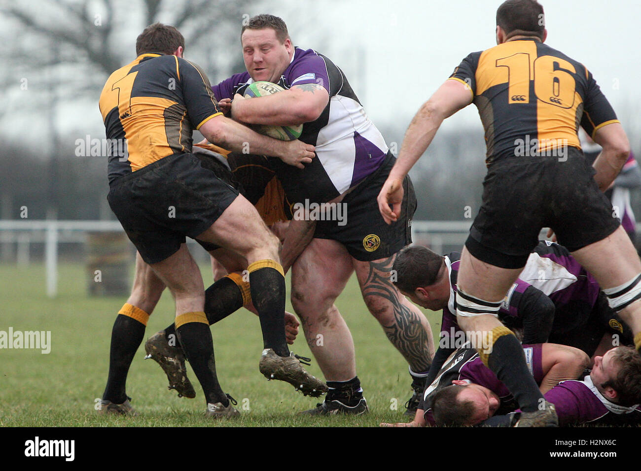 Braintree rfc hi-res stock photography and images - Alamy
