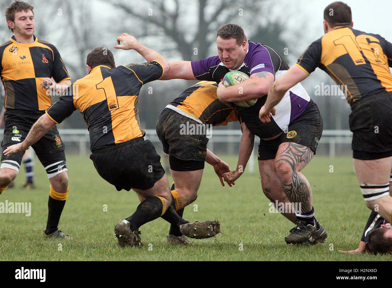 Braintree rfc hi-res stock photography and images - Alamy