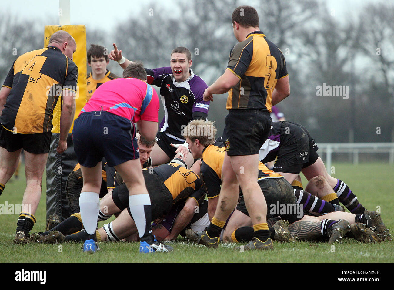 Braintree rfc hi-res stock photography and images - Alamy