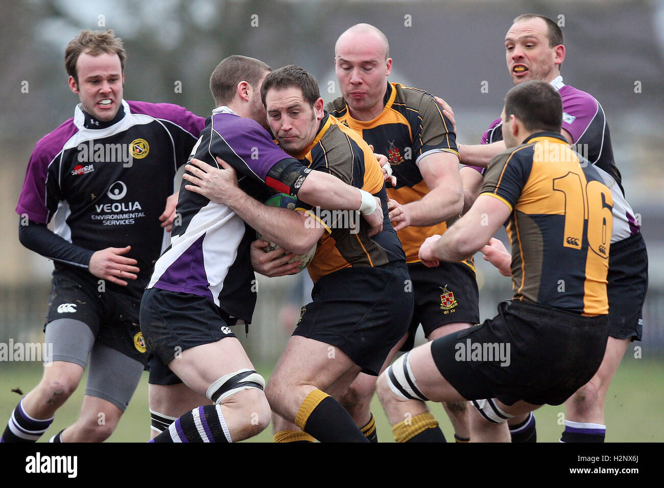 Braintree rugby club hi-res stock photography and images - Alamy
