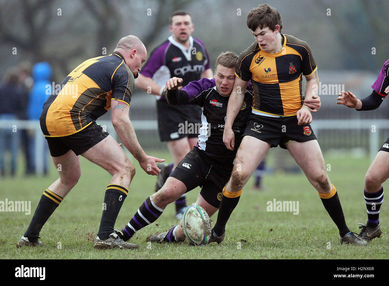 Braintree rfc hi-res stock photography and images - Alamy