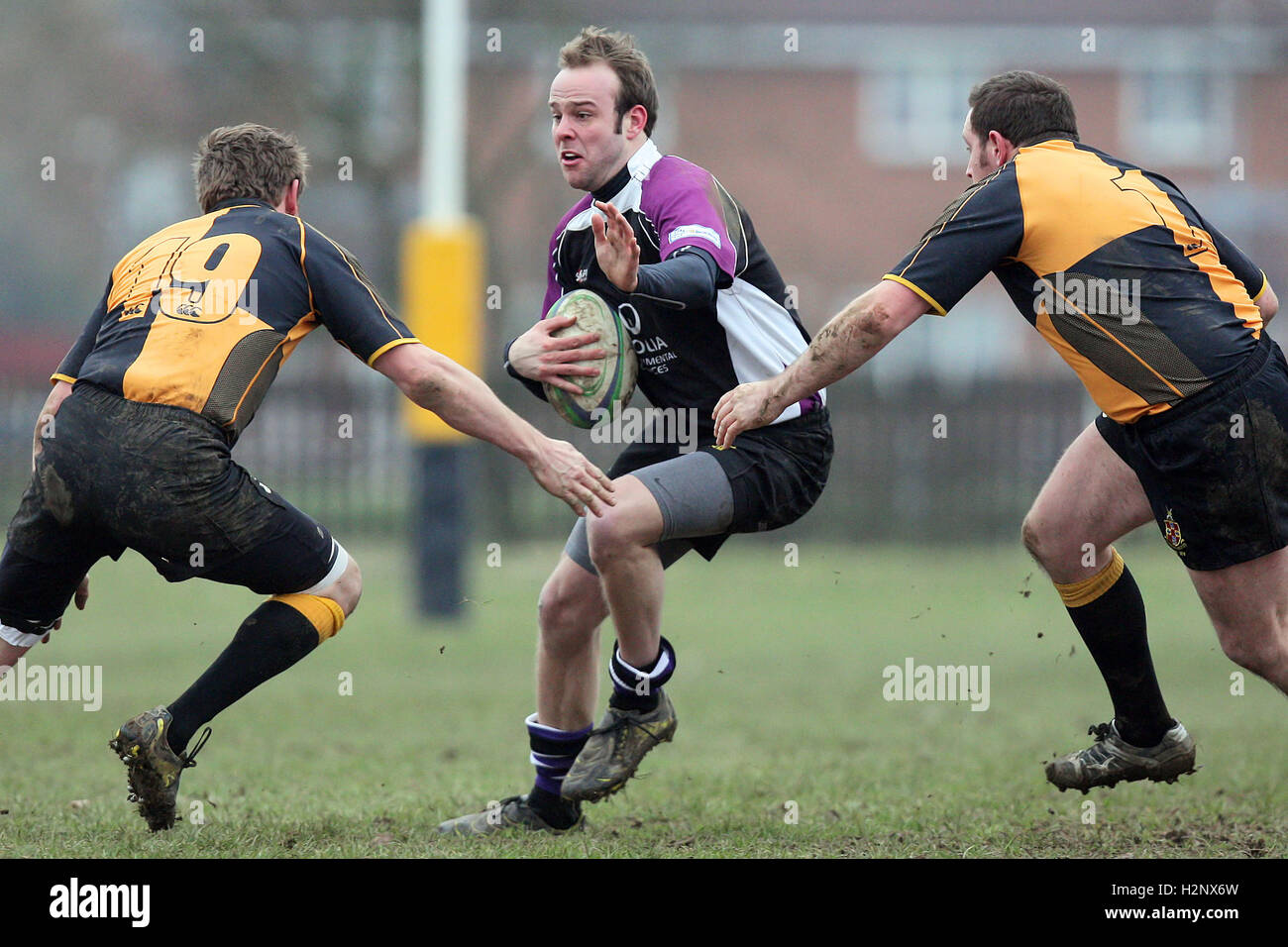 Braintree rugby club hi-res stock photography and images - Alamy