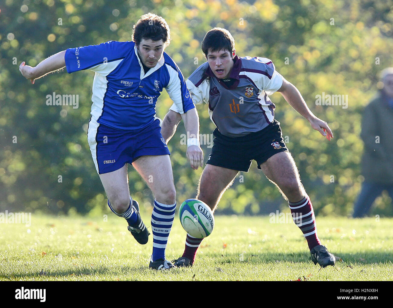 Brentwood RFC vs Diss RFC - 04/11/2006 - All Football League and ...