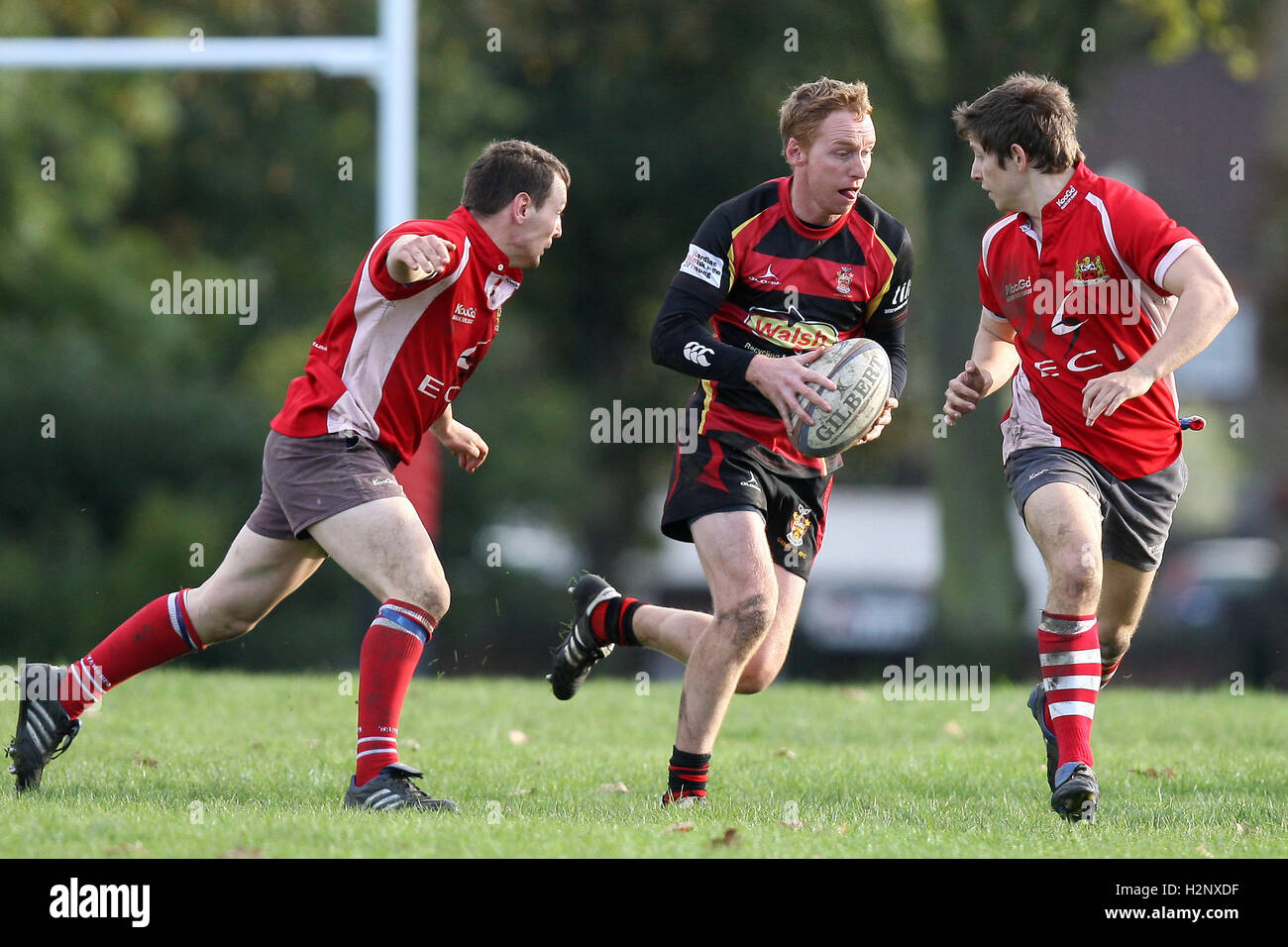 The park wisbech hi-res stock photography and images - Alamy