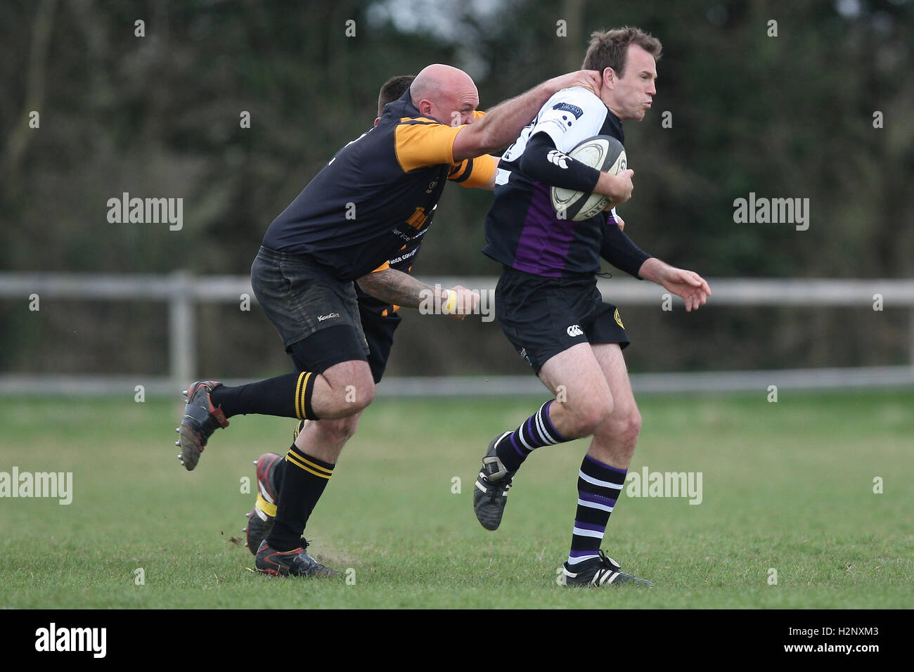 North rugby hi-res stock photography and images - Alamy