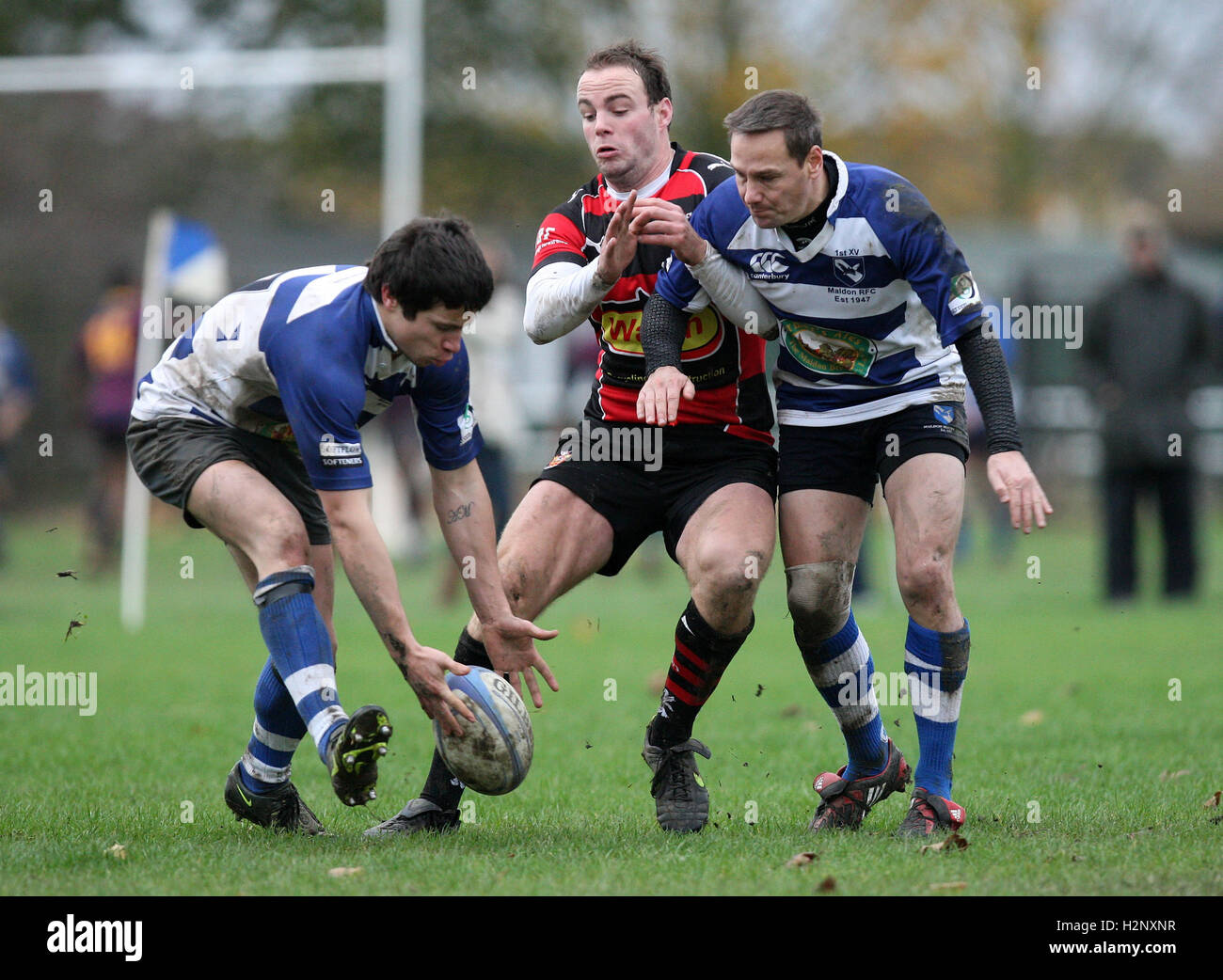 Campion rfc hi-res stock photography and images - Alamy