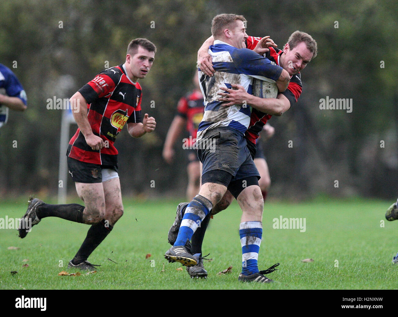 Sport rugby league try hi-res stock photography and images - Alamy