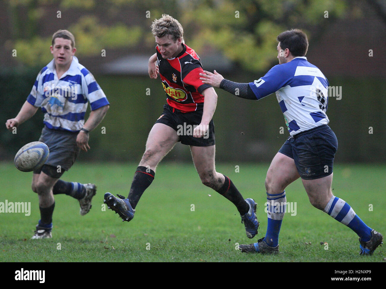 Campion rfc hi-res stock photography and images - Alamy