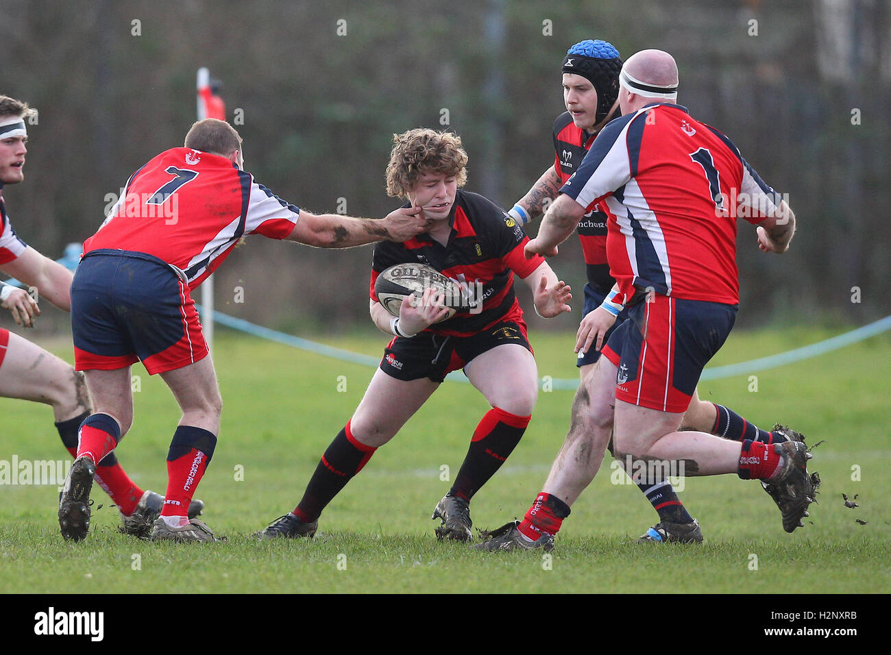 May & Baker RFC vs Seaford RFC - EDF National Vase Quarter-Final Rugby ...