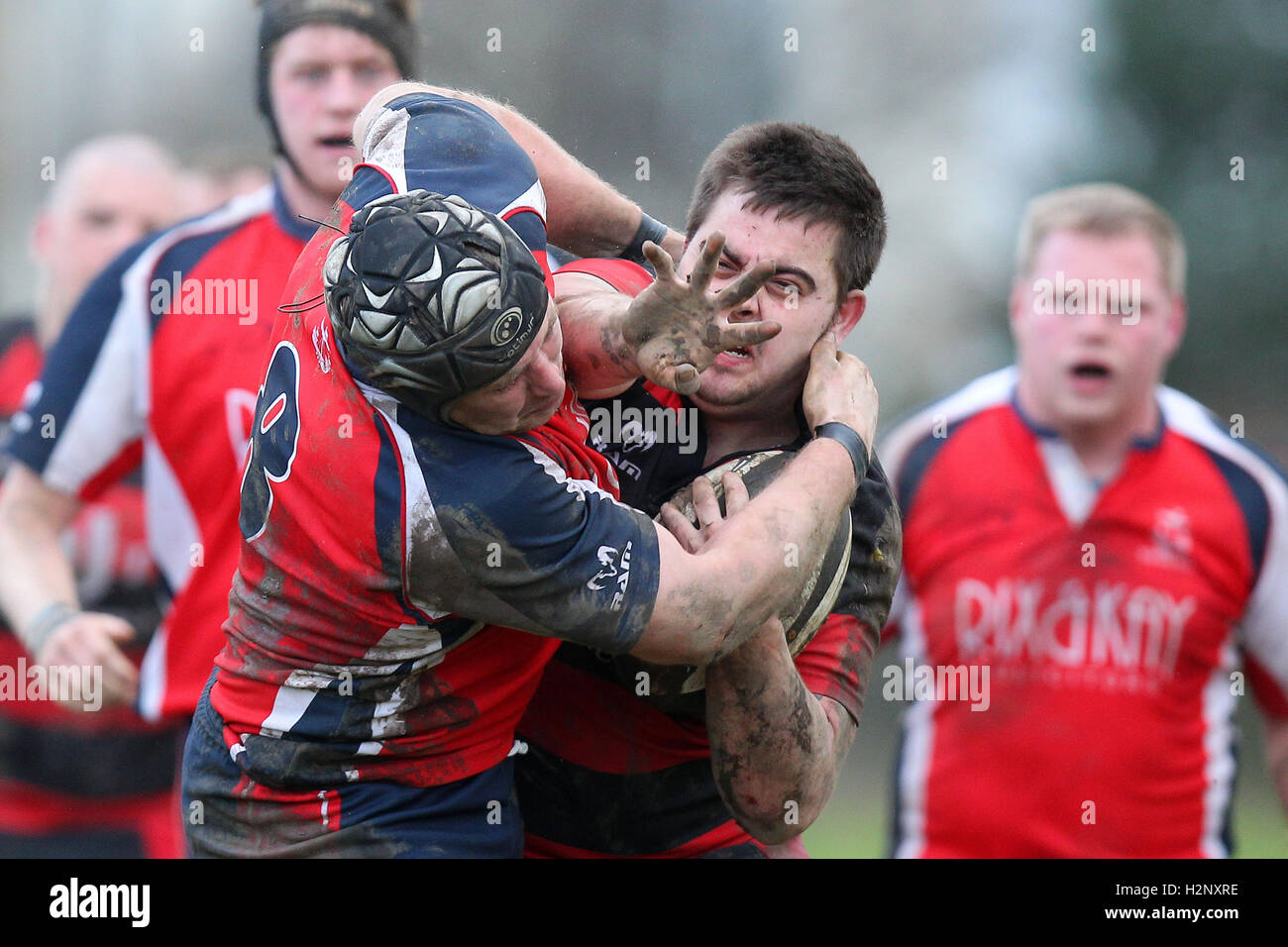 May & Baker RFC vs Seaford RFC - EDF National Vase Quarter-Final Rugby ...