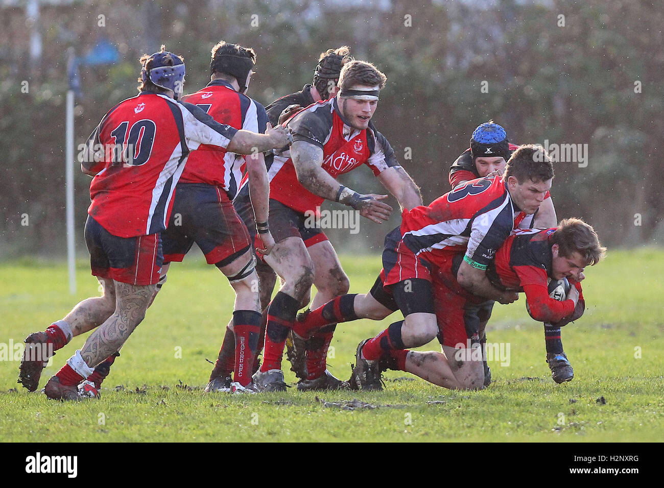 May & Baker RFC vs Seaford RFC - EDF National Vase Quarter-Final Rugby ...