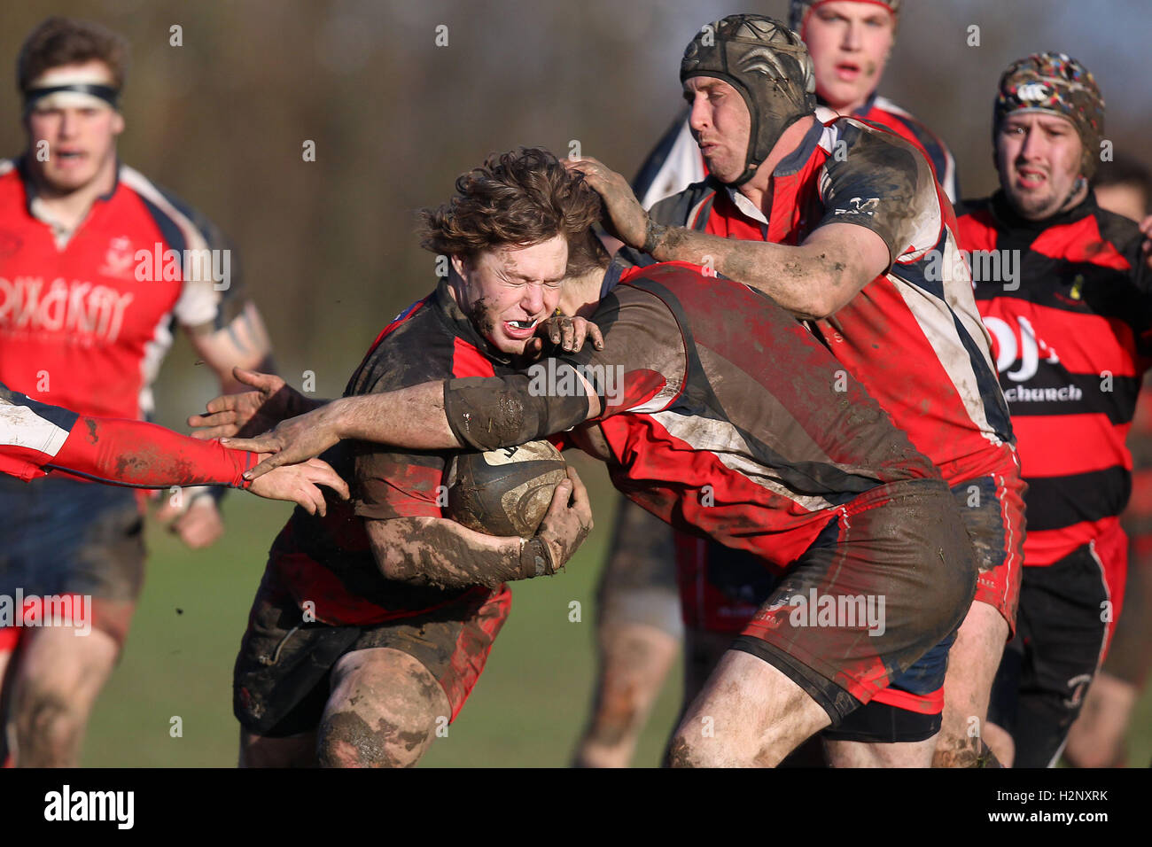 May & Baker RFC vs Seaford RFC - EDF National Vase Quarter-Final Rugby ...