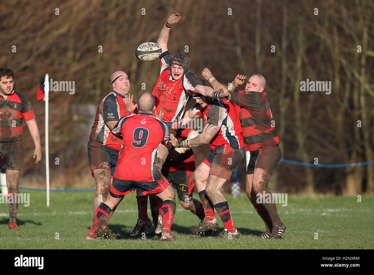 May & Baker RFC vs Seaford RFC - EDF National Vase Quarter-Final Rugby ...