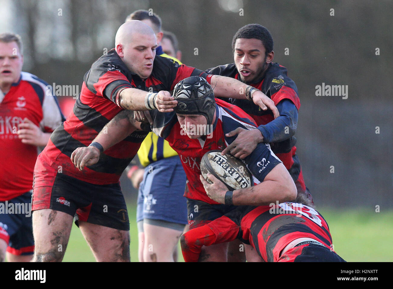 May & Baker RFC vs Seaford RFC - EDF National Vase Quarter-Final Rugby ...