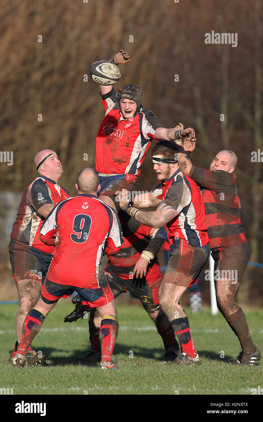 May & Baker RFC vs Seaford RFC - EDF National Vase Quarter-Final Rugby ...
