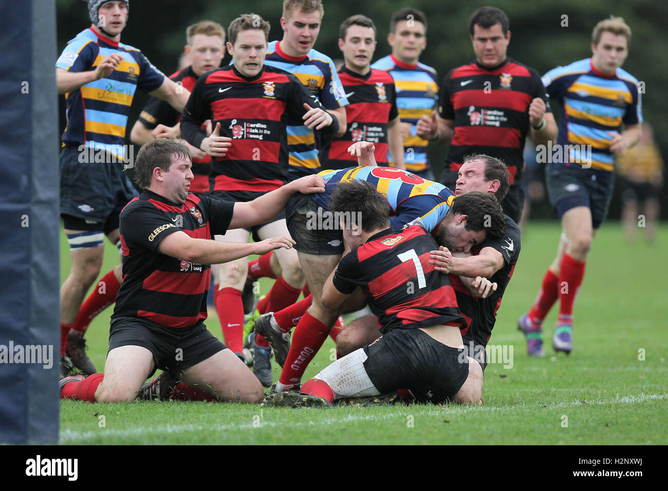 Old Cooperians RFC vs Campion RFC - Essex League Division One Rugby at ...