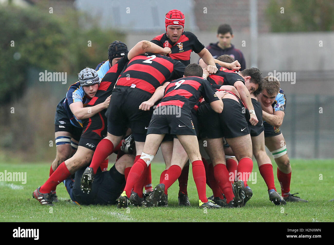 Old Cooperians RFC vs Campion RFC - Essex League Division One Rugby at ...