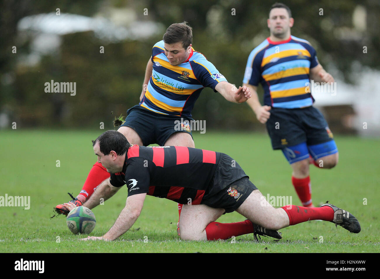 Old Cooperians RFC vs Campion RFC - Essex League Division One Rugby at ...