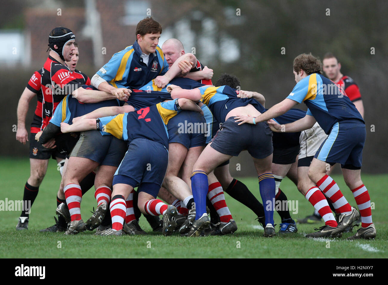 Old cooperians rfc hi-res stock photography and images - Alamy