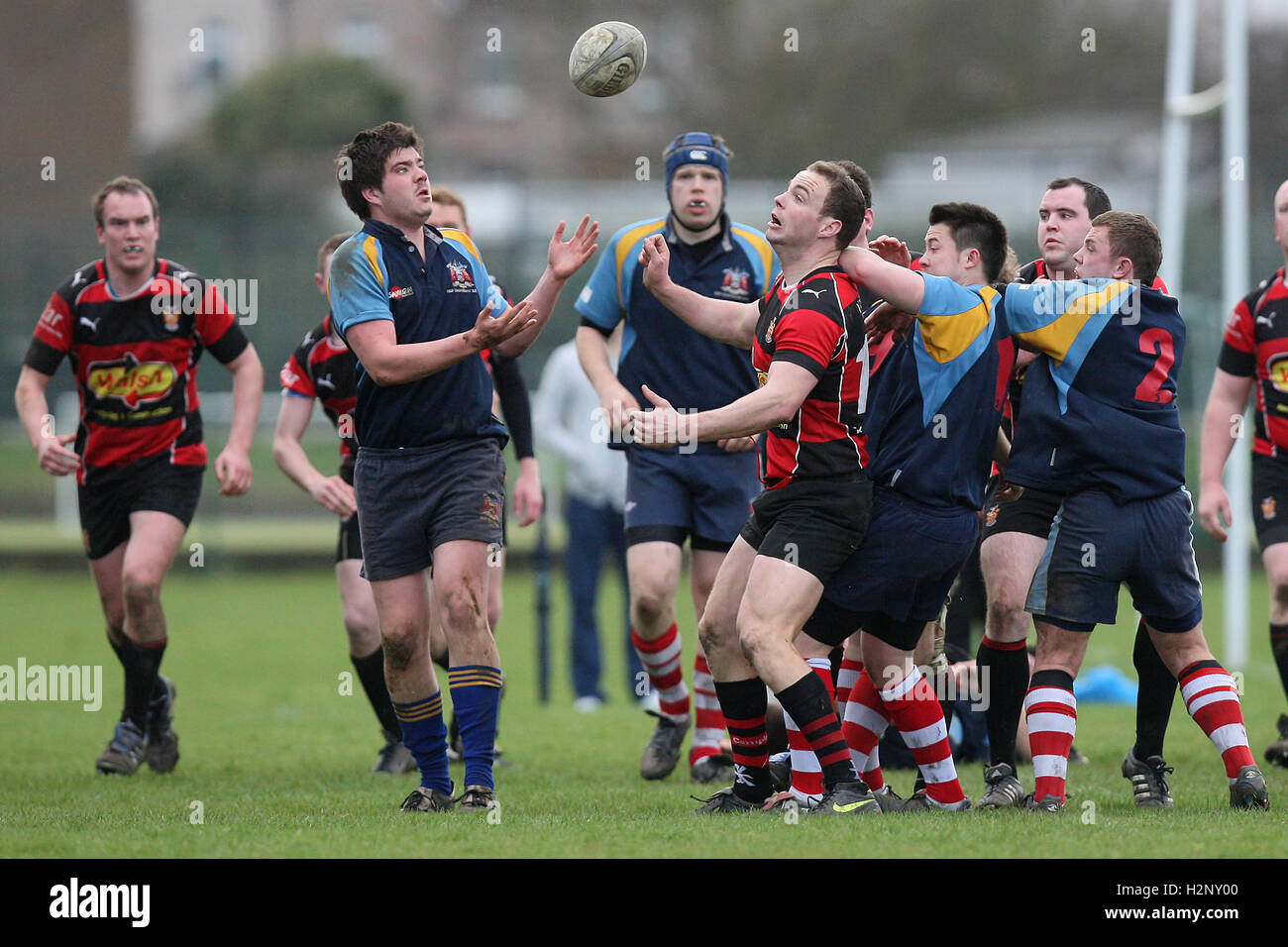 Old cooperians rfc hi-res stock photography and images - Alamy