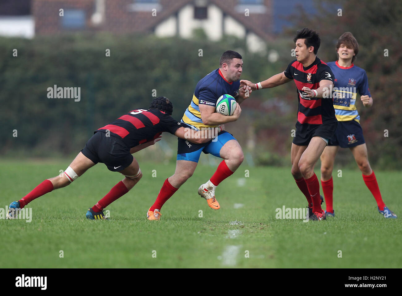 Old Cooperians RFC vs Campion RFC - London 2 North East Rugby at ...