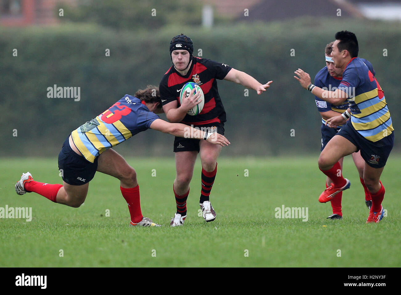 Old Cooperians RFC vs Campion RFC - London 2 North East Rugby at ...