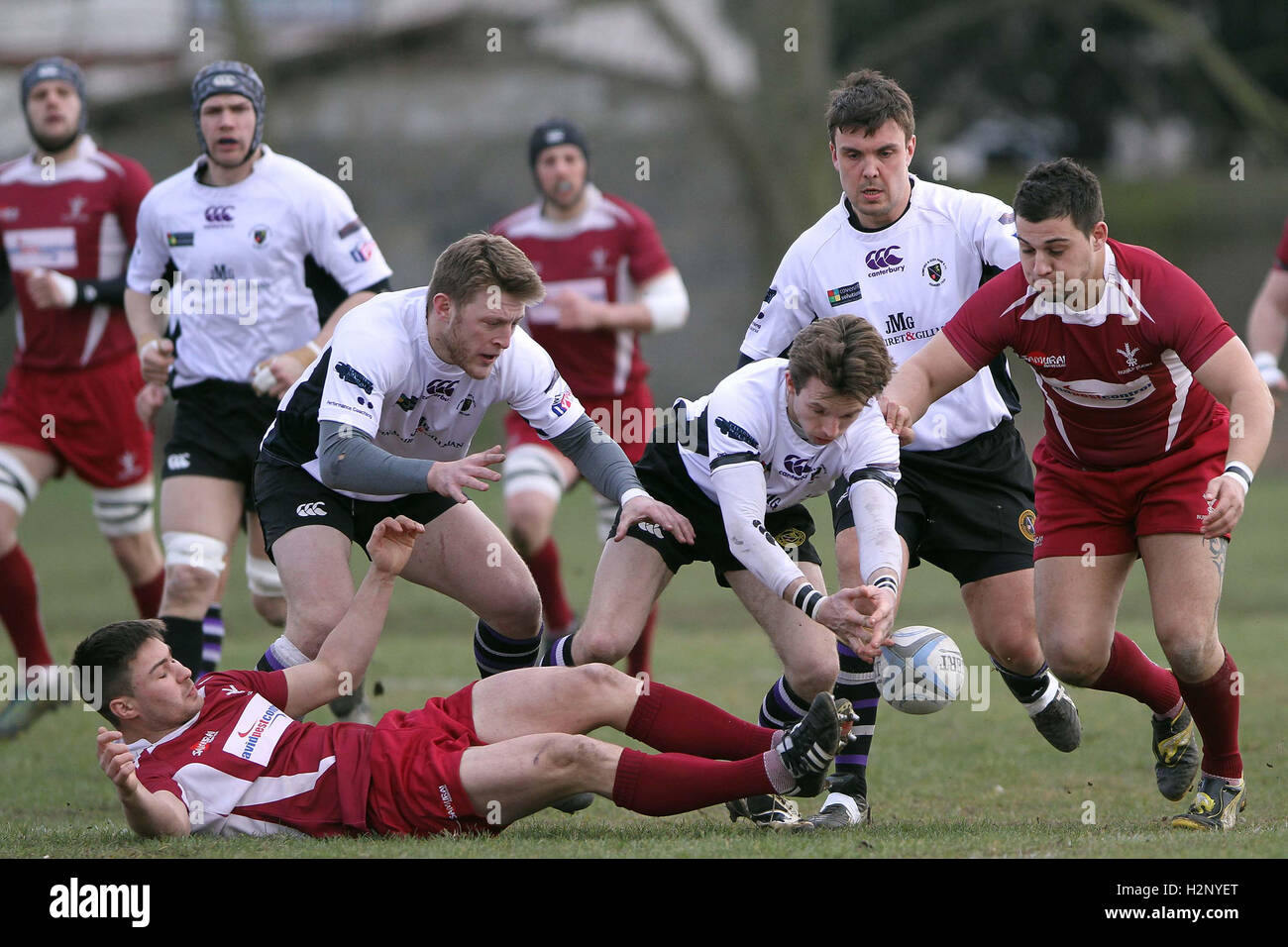 Romford & Gidea Park loose the ball - Romford & Gidea Park RFC vs ...