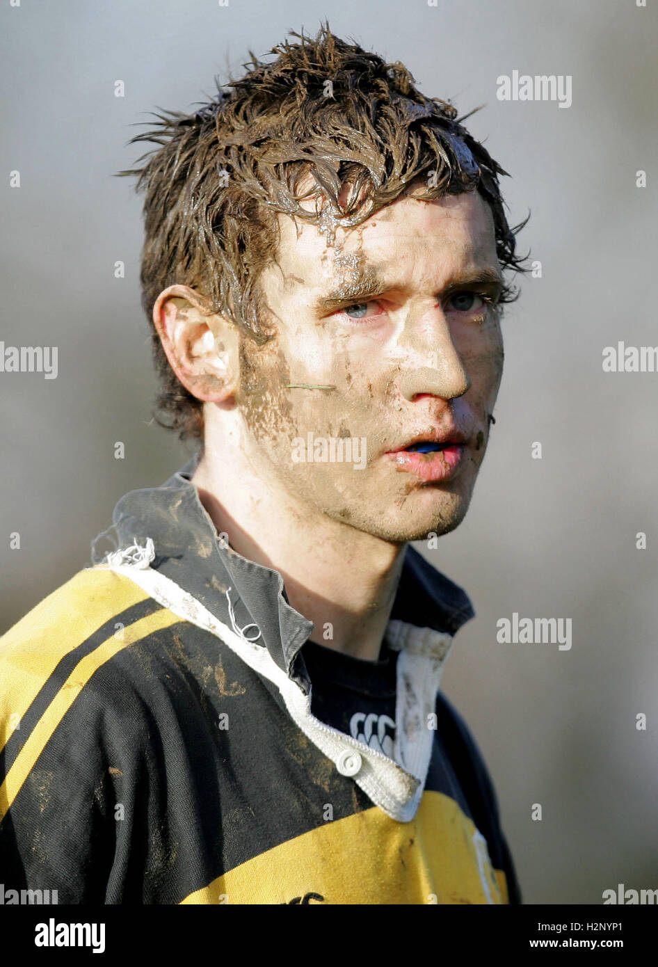 Tim Maynard - Billericay Rugby Football Club - 10/02/07 Stock Photo - Alamy
