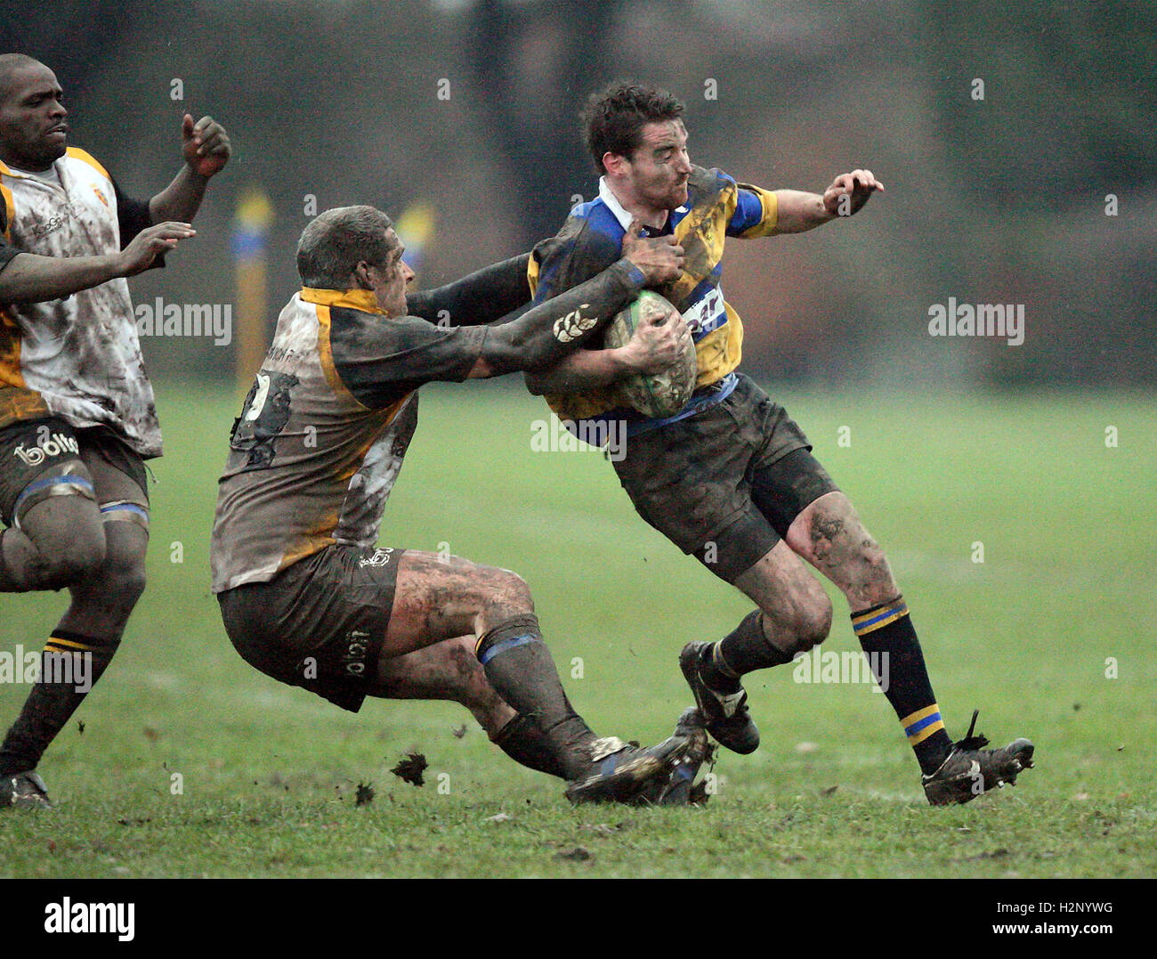 Upminster rfc hi-res stock photography and images - Alamy